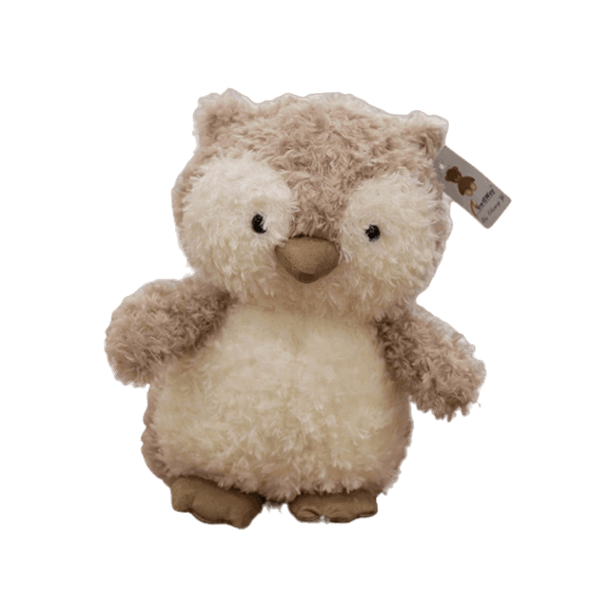 New collection – Miniso Egypt